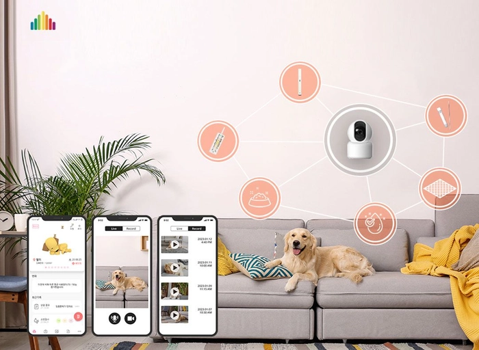 [알파도(Alphado)] 서버 개발자 채용 공고 | 원티드